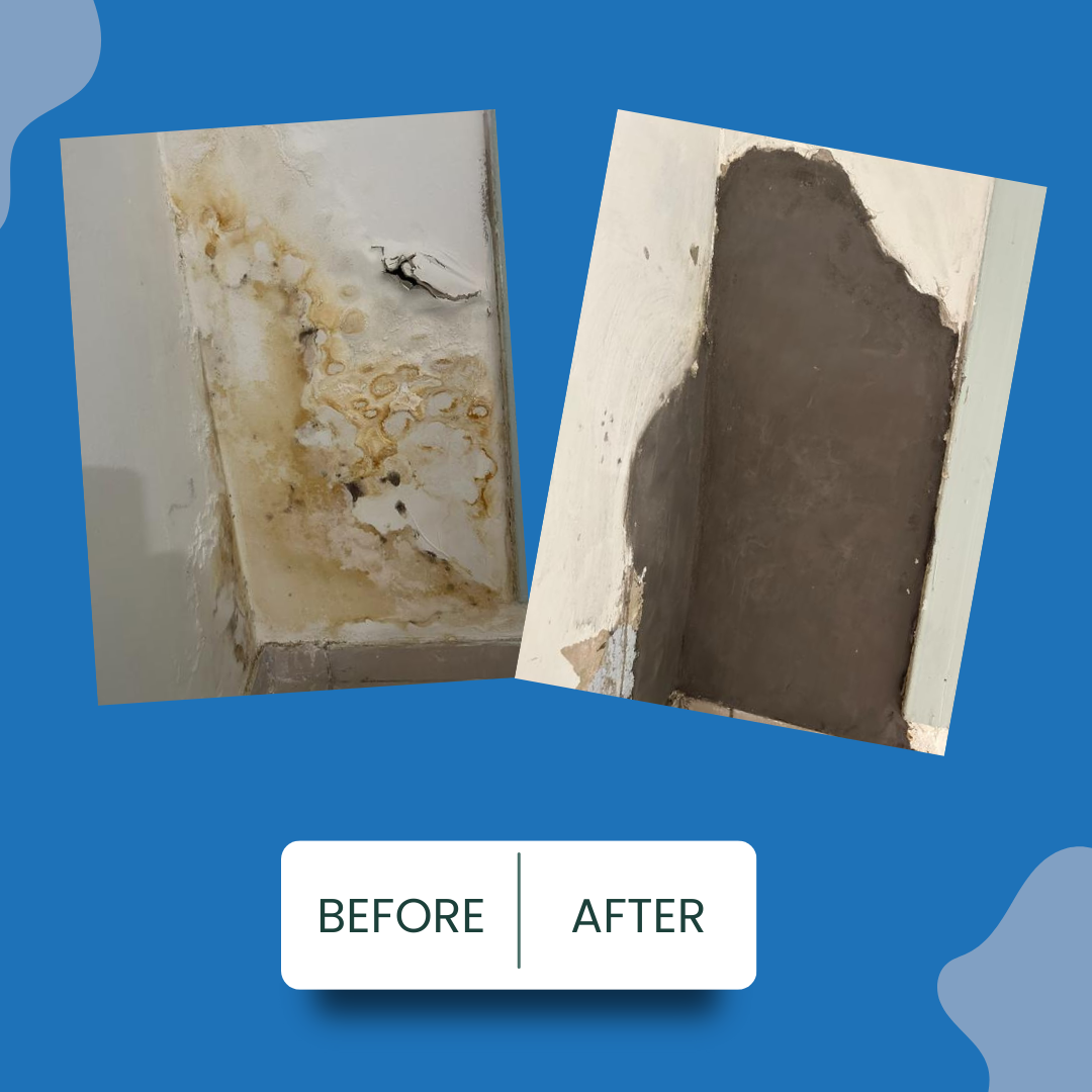 Services - DampBlock SA